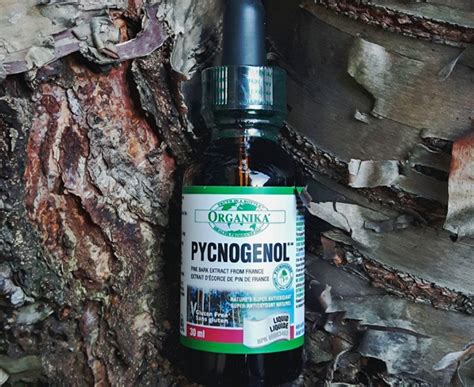 7 Health Benefits Of Pycnogenol