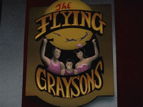 Flying Graysons Dc Animated Universe Fandom
