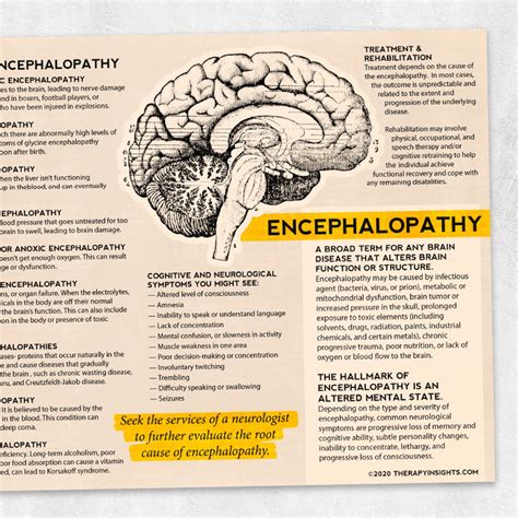 What Does Encephalopathy Mean Encephalopathy Types Causes And