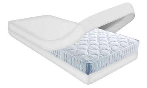 Greater Safety Limits Are Required For The Perfect Bed Bug Protection
