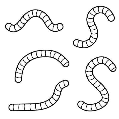 Earthworm Insect Worm Set Bait For Fishing 5977565 Vector Art At