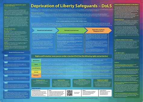 Deprivation Of Liberty Safeguards Dols Wall Chart Bookswise Publicatio