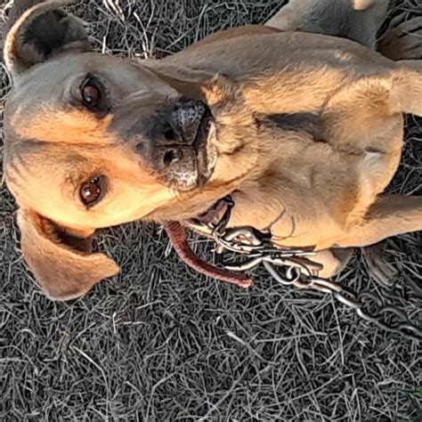 Stream Lashuna Music Listen To Songs Albums Playlists For Free On Soundcloud