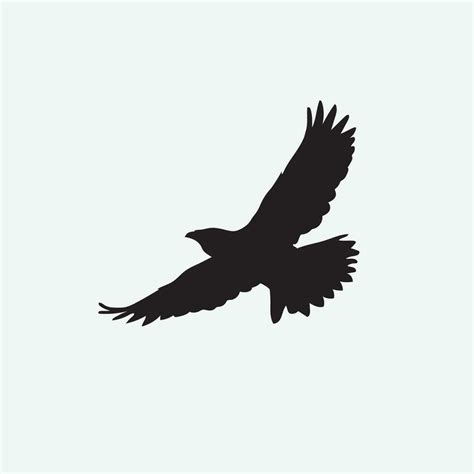 Bird Vector Png 30504929 Vector Art At Vecteezy
