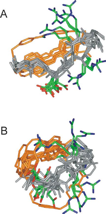 Nmr Structural Ensembles For Both Isomers Of The Azobenzene Peptide 1 Download Scientific