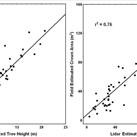 Relationship Between Field And Lidar Based Estimates Of Maximum Tree Download Scientific