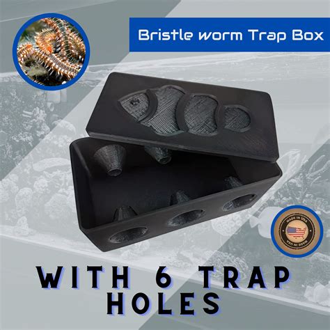 Bristle Worm Trap