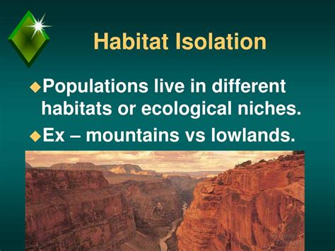 Habitat Isolation Definition Biology Simple At Jasper Rae Blog