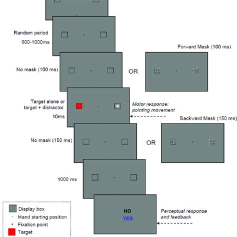 A Temporal Sequence Of Stimuli Presentation B Target And
