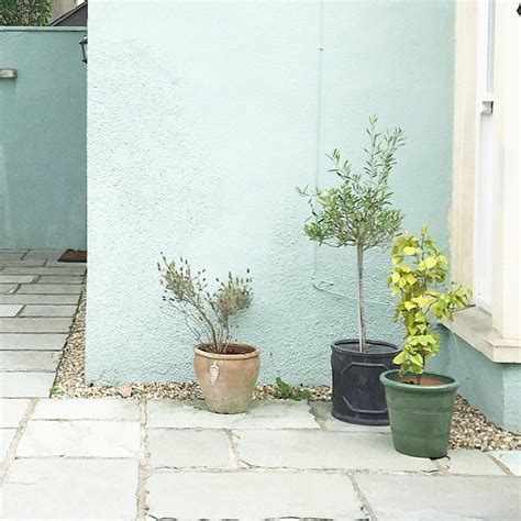 Cute Courtyard Inspiration