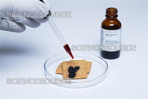 Photograph Iodine Test For Starch Science Source Images