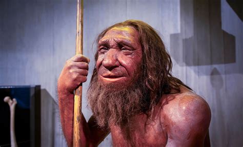 What Neanderthals And Denisovans Would Look Like Today Ia Weigh In