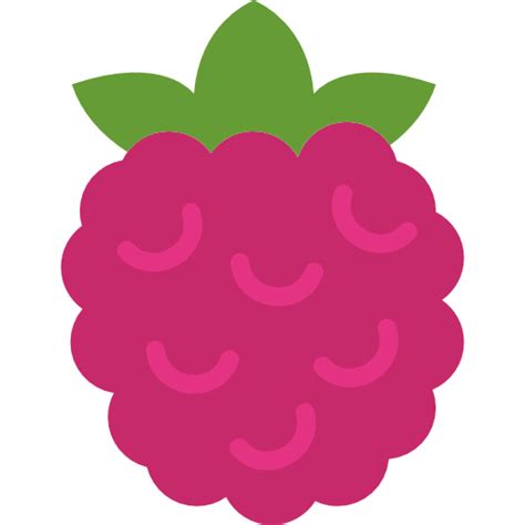 Raspberry Basic Miscellany Flat Icon