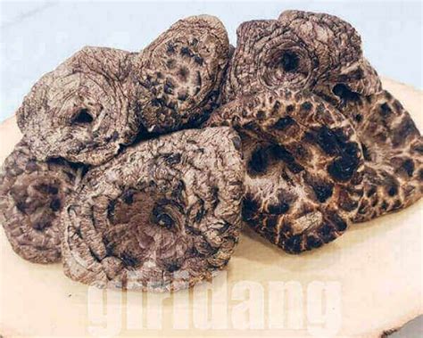 능이버섯 Neungi Mushroom 에 관한 6가지 정보
