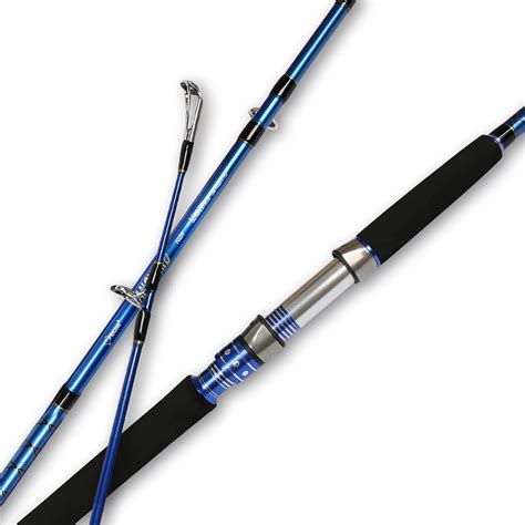 Fiblink 2 Piece Saltwater Spinning Fishing Rod Offshore Graphite