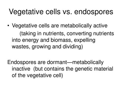Ppt Gram Positive Endospore Forming Rods Powerpoint Presentation Id