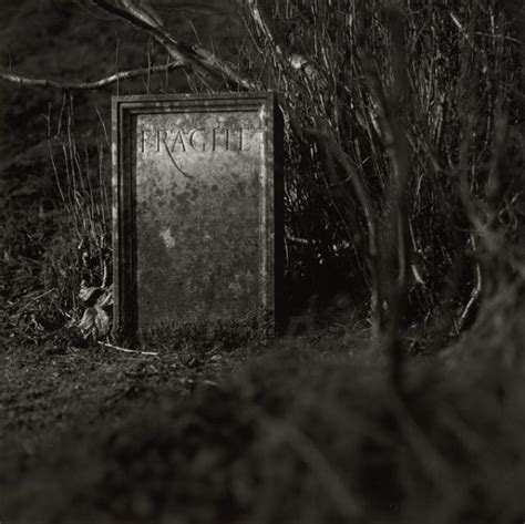 Robin Gillanders National Galleries Of Scotland