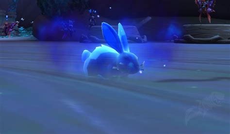 Bunny Soul Item World Of Warcraft
