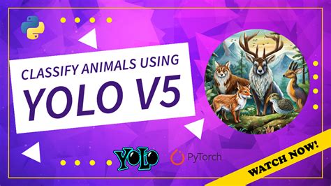 Yolov5 Image Classification Tutorial With Python