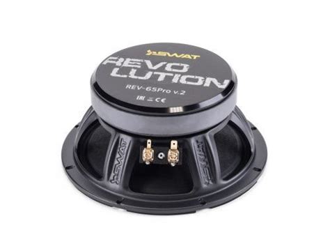 SWAT REV-65Pro v.2 (эстрадный мидбас,громкая,250Вт.,пара) колонки ...