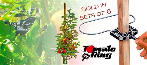 All Roots Planter Co Tomato Rings