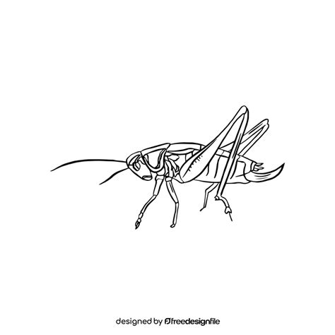 Grasshopper Drawing Black And White Clipart Free Download