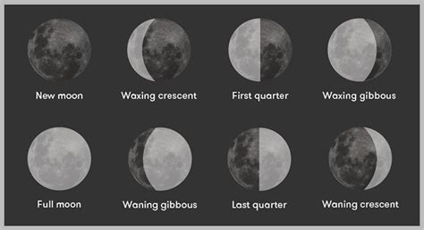 Waxing And Waning Gibbous Diagram Waning Gibbous Moon