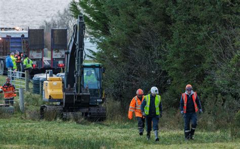 Esb Still Many Faults On Electricity Network Following Storm Éowyn
