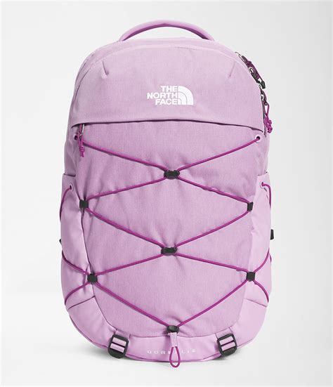 What North Face Backpack Is Best For School At Lily Selwyn Blog