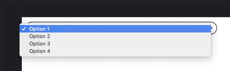 Html Safari Select Dropdown Options Are Not Aligned To Input Tag Stack Overflow
