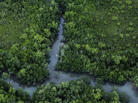 Undrip In Other Jurisdictions — Antar