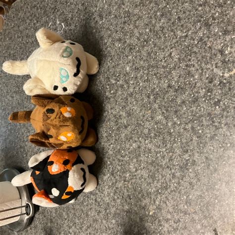 Warrior Cats Inspired Beanie Plushies Mapleshade Snowtuft And Ivypool