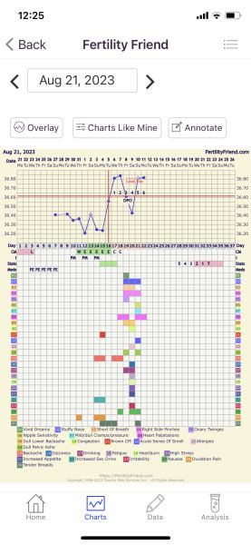 Bbt Charting Help Mumsnet