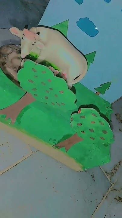 Nitrogen Cycle Model Youtube