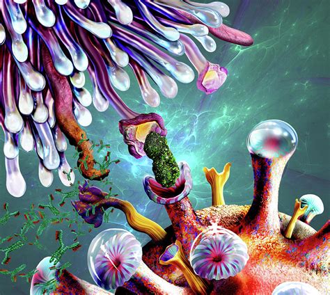 T Cell Immune Checkpoint Inhibition 1 By Science Photo Library