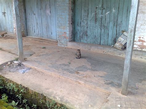 29092008301 Euke1974 Flickr