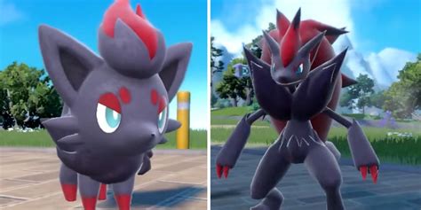 Zoroark Evolution