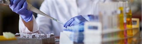 Setting Up A Testing Schedule That Will Optimize The Number Of Tests