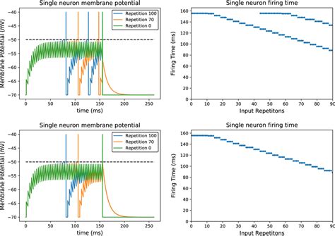 Latency Reduction And Spike Proliferation We Plot The Membrane