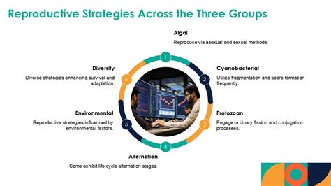 Algae Vs Cyanobacteria Vs Protozoa Ppt Mockup Acp