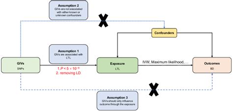 Directed Acyclic Graph Of The Mr Framework Investigating The Causal