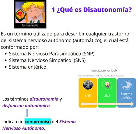 Qué Es Disautonomía Puntos Claves Que Debes Conocer Para Explicar A Otras Personas