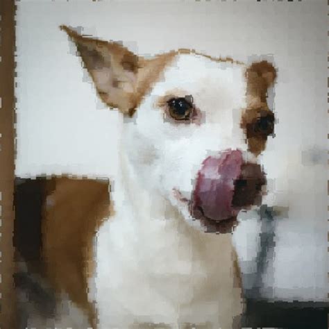 Stream Activated Sludge By Large Hospital Listen Online For Free On