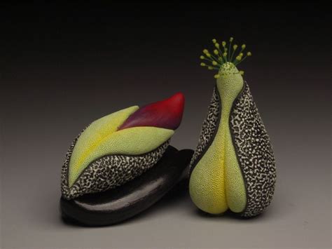 17 Seed Pods Ideas Seed Pods Pods Patterns In Nature