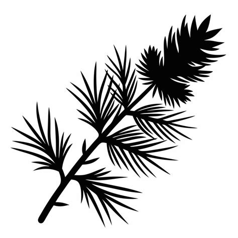 Christmas Larch Pine Spruce Branch Silhouette Illustration 48859128