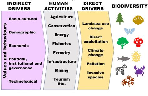 The Nature Crisis Will Persist Unless We Tackle It With Urgency Royal