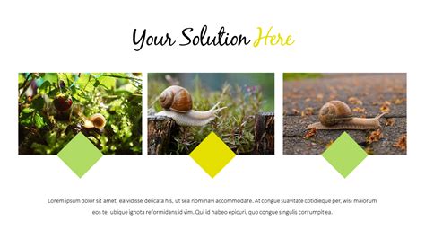 Snail Slide Ppt