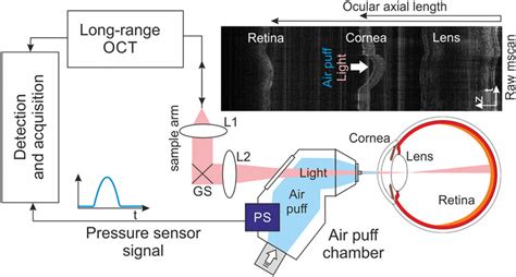 Scheme Of The Air Puff Oct Based Ocular Biometry Instrument The System