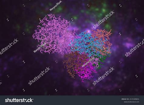 Shiga Toxin Produced By Bacteria Shigella Stock Illustration 2172349651