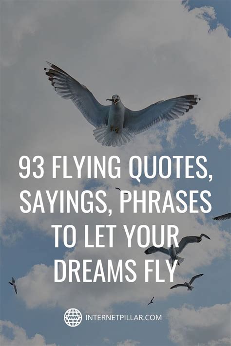 Soar To New Heights With 93 Inspiring Flying Quotes And Sayings